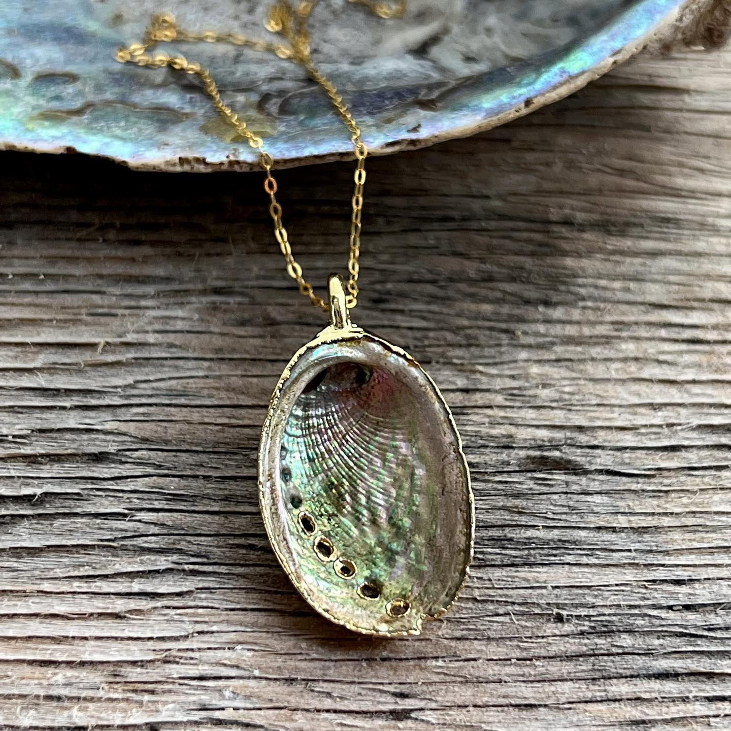 From small to big paua shells! – Nostalgem