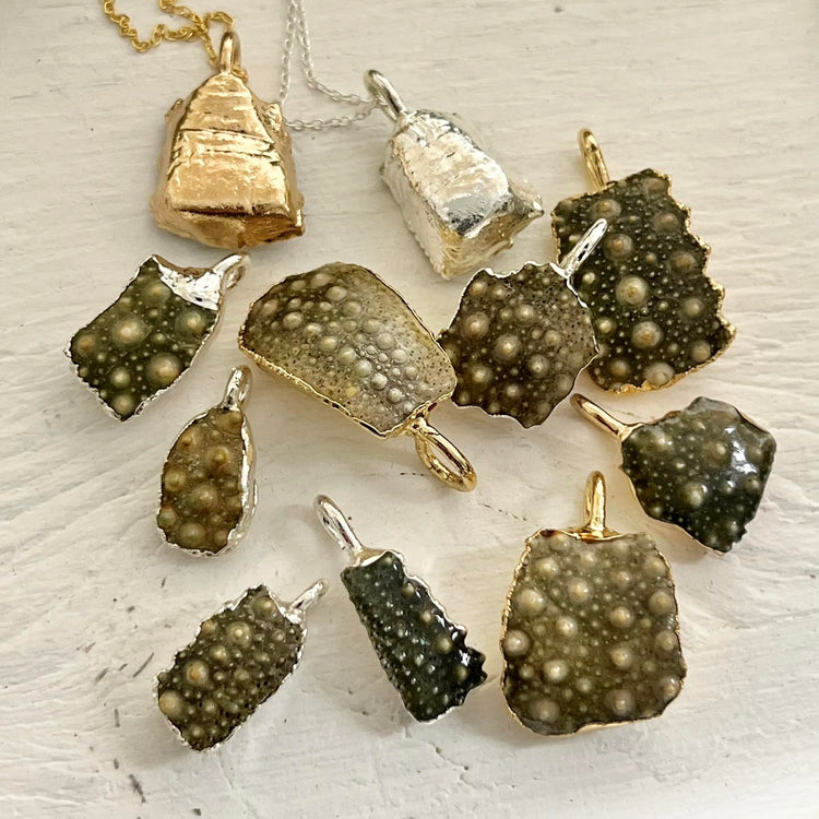 I transformed these broken sea urchin / kina shells – Nostalgem