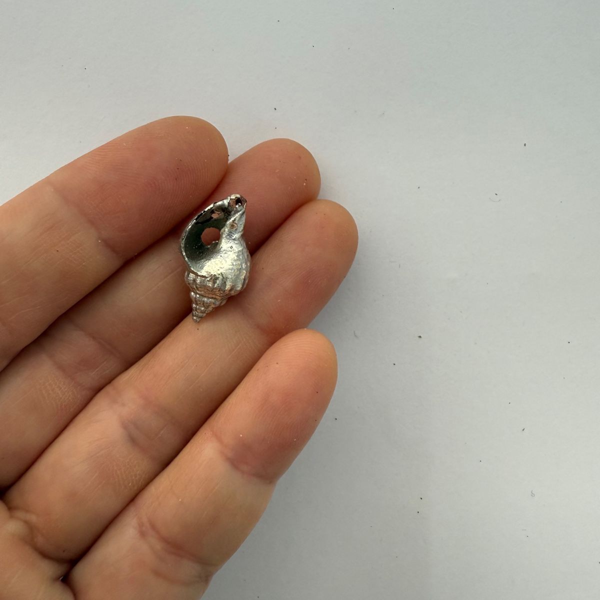 BF Samples & Seconds Sale: Silver Whelk Pendant 40 – Nostalgem