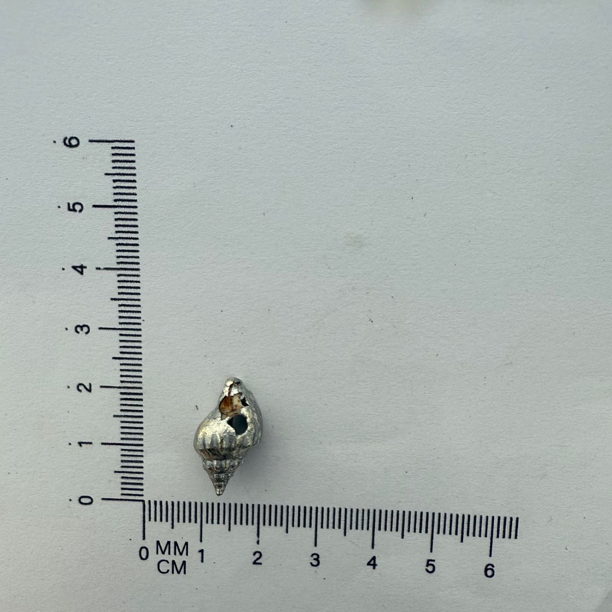 BF Samples & Seconds Sale: Silver Whelk Pendant 40 – Nostalgem