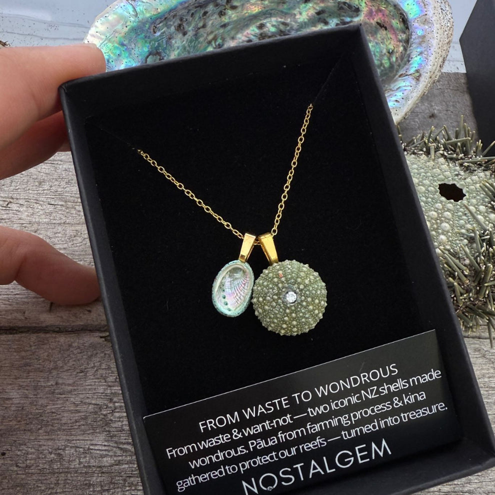 Tiny Paua & Kina Shell Pair Necklace – Nostalgem